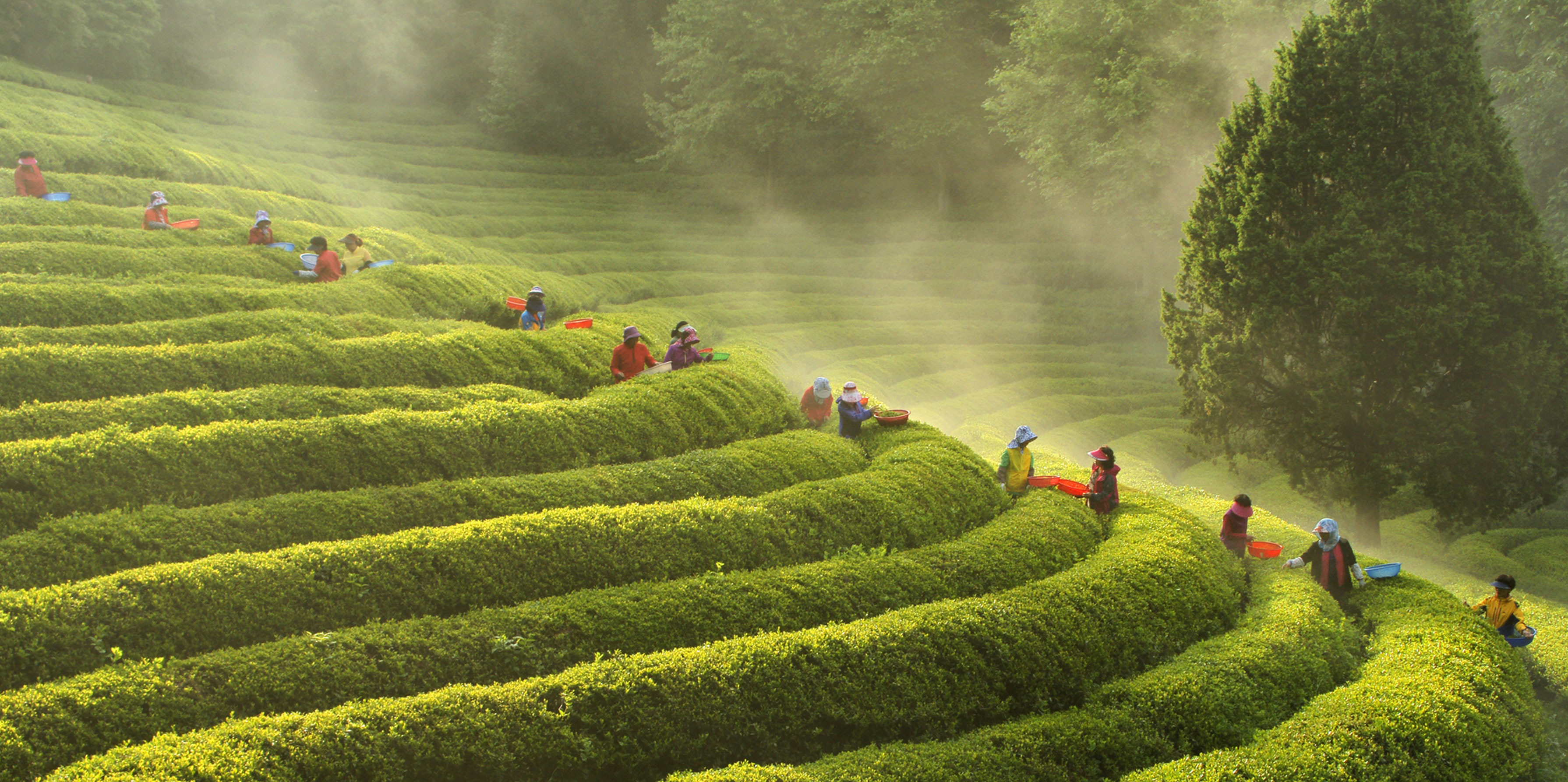 Jeolla Beyond the Table – Travel Guide Singapore