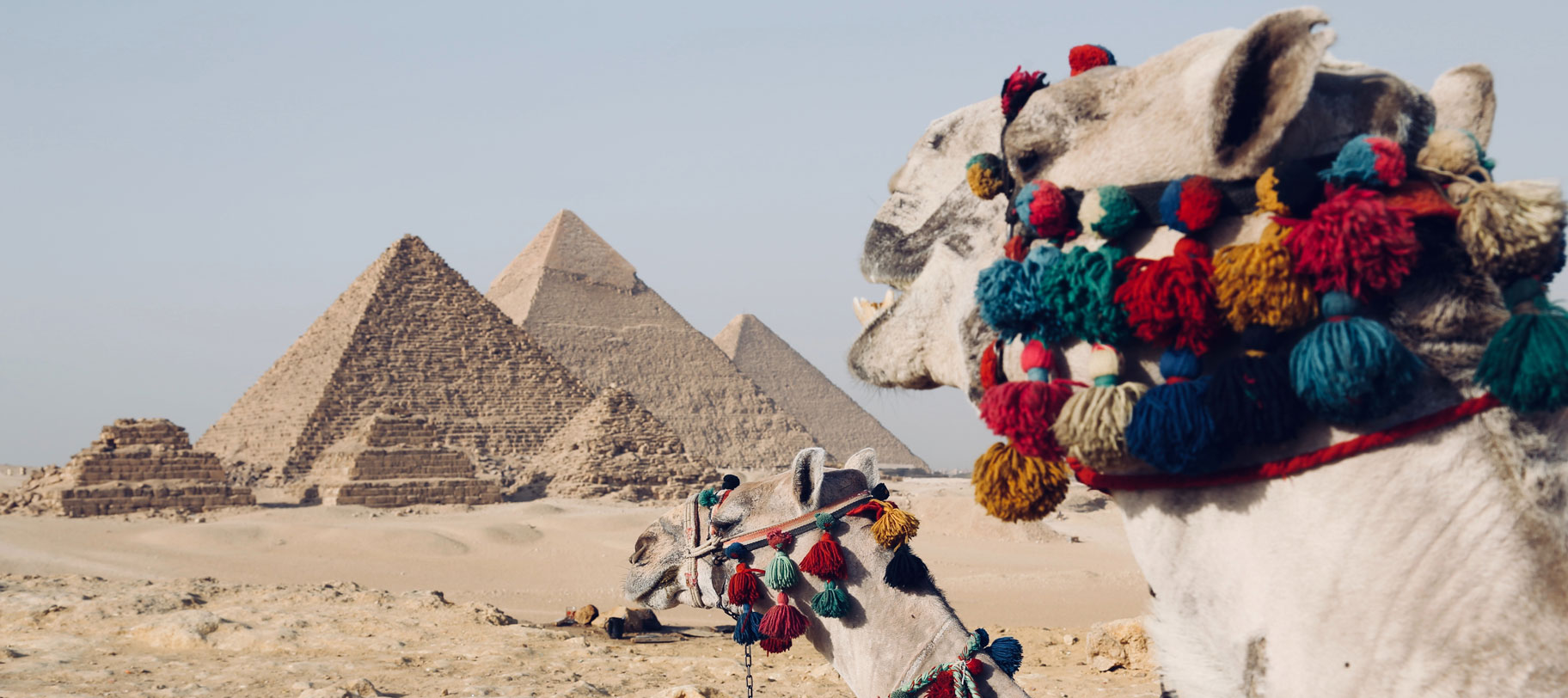 Egyptian Renaissance – Travel Guide Singapore